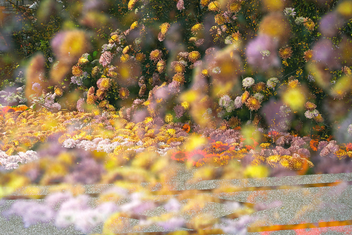 Natural Splendor – Ulla Johnson